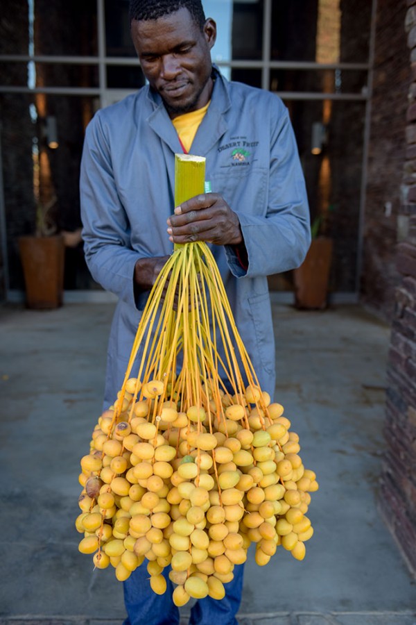 New product line for Desert Fruit Namibia – Desert Fruit